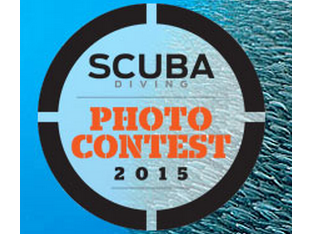 2015 Scuba Diving Photo Contest 2015 - BountyHunter