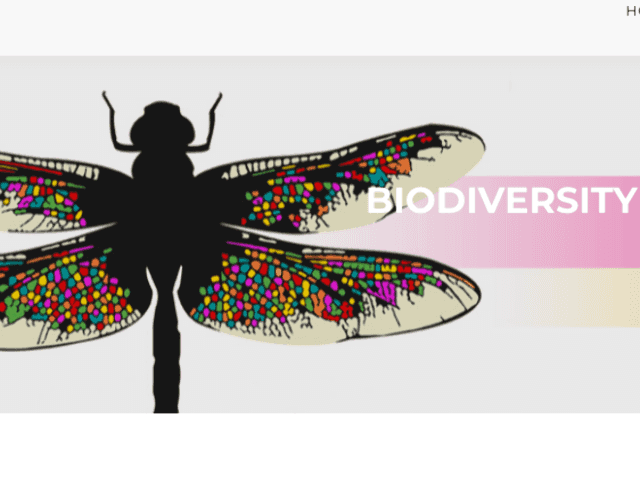 2018 Biodiversity Drawing Contest - 獎金獵人