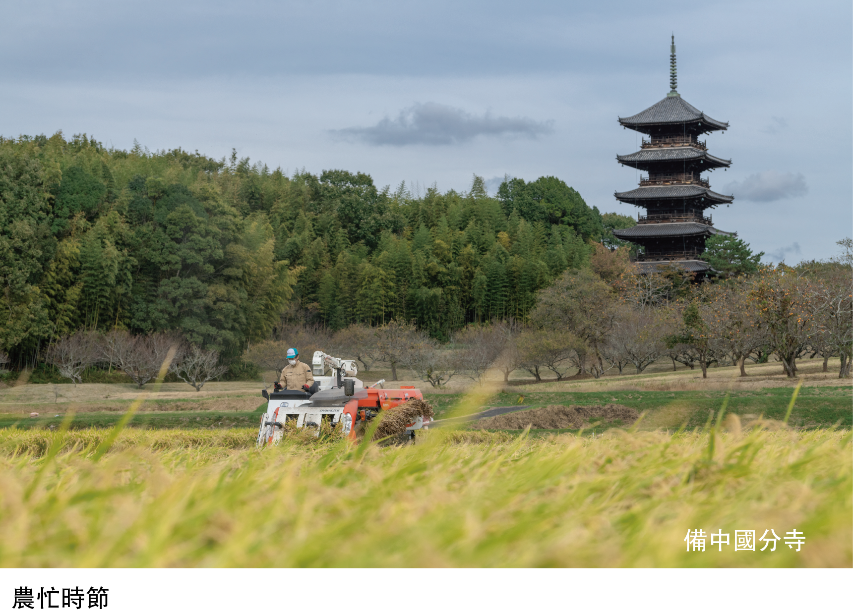 漫步桃太郎～山海藝術之旅 - 第五屆桃太郎的故鄉日本岡山旅遊計劃暨攝影比賽